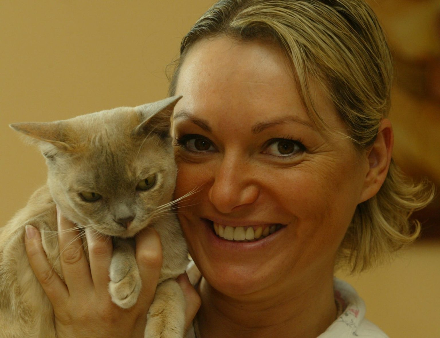 Our cats | Alba Regia Burmese Cattery - burmesecats.eu